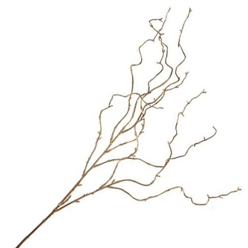 Contorted Willow Bundle Gold | Sticks and Twigs