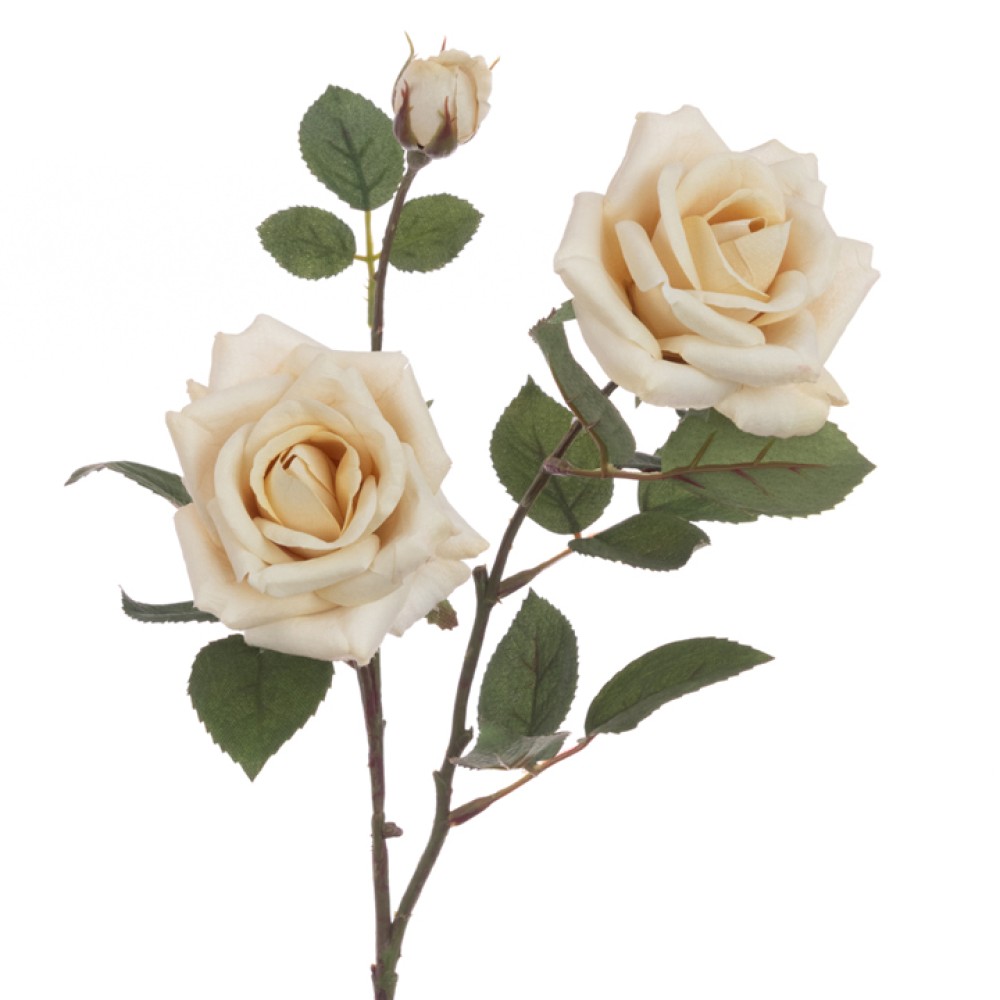 Eco Artificial Rose Spray Cappuccino 70cm | Artificial Flowers