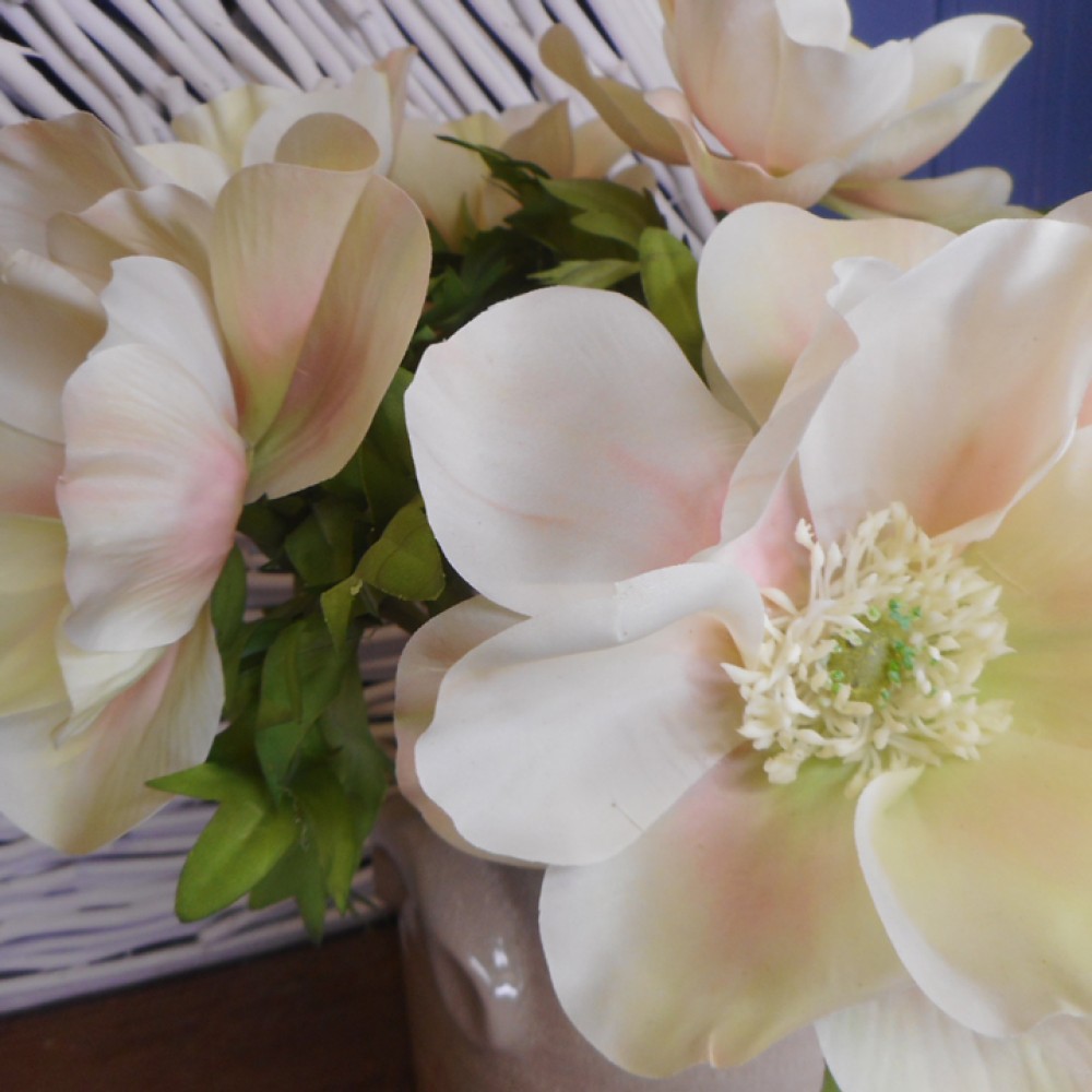 Sorbet Anemones Cream Peach 44cm | Artificial Flowers
