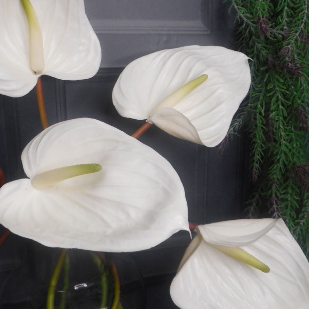 Real Touch Anthurium Cream 74cm | Artificial Flowers