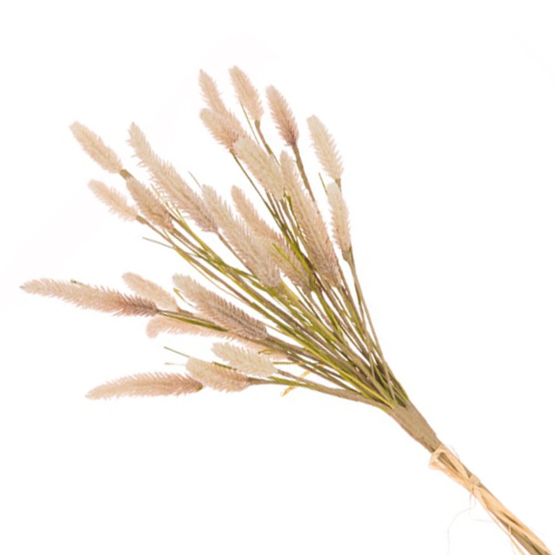 Artificial Bunny Tails Bundle Cream 70cm | Artificial Flowers