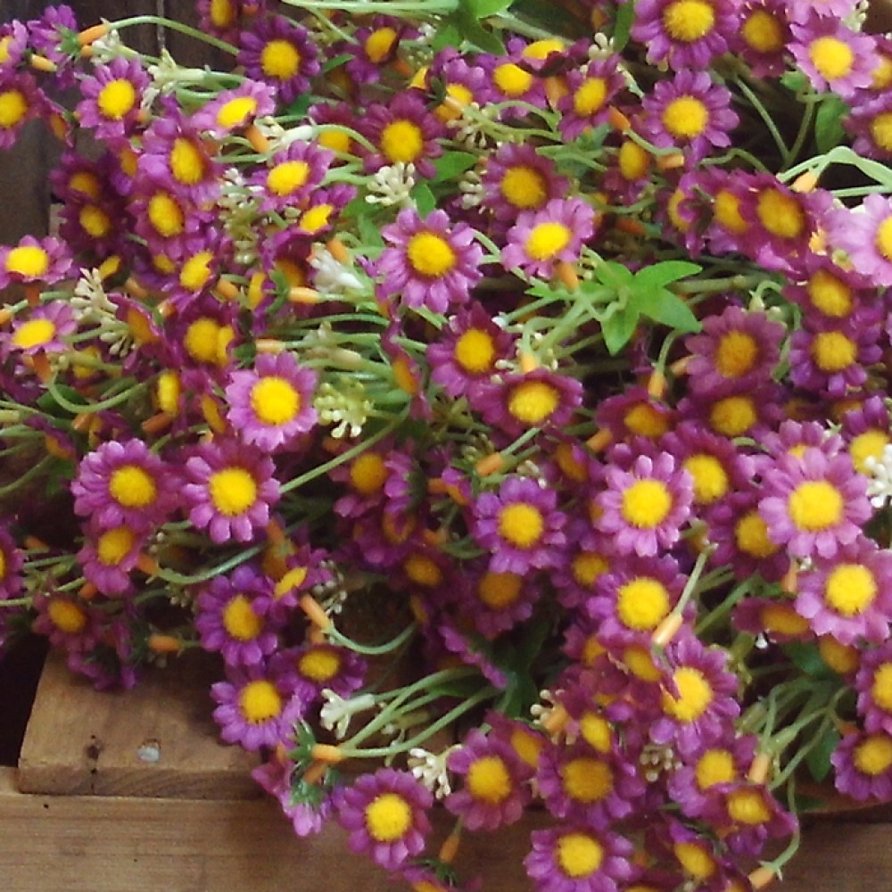 Mini Garden Daisies Stem Dark Pink 63cm | Artificial Flowers