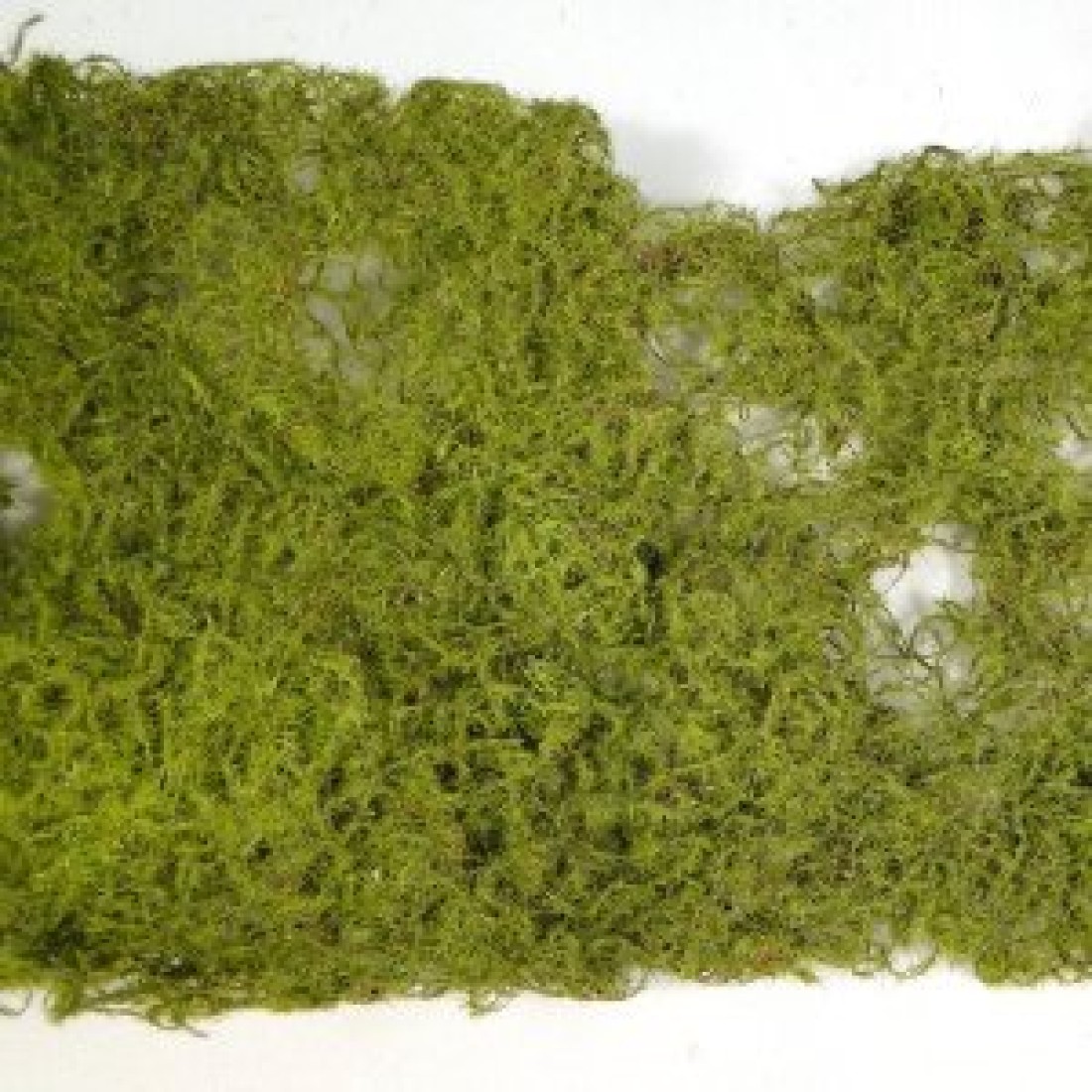 Moss Roll Green 15cm x 90cm | Florists Supplies
