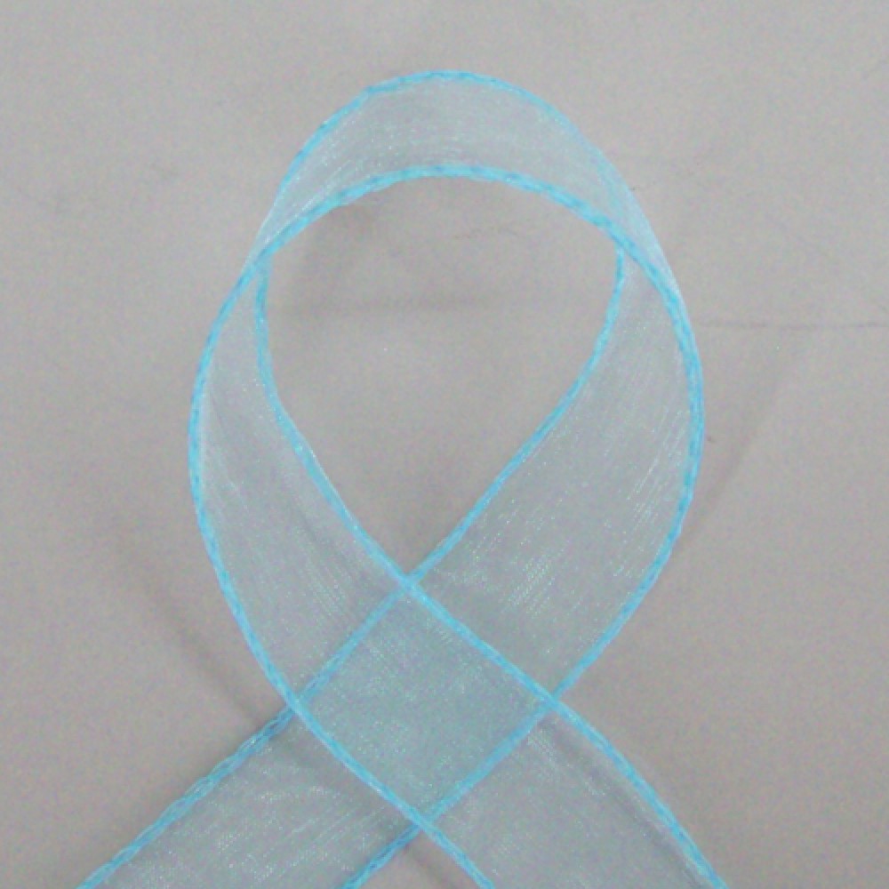 Wired Organza Ribbon Turquoise | Ribbons