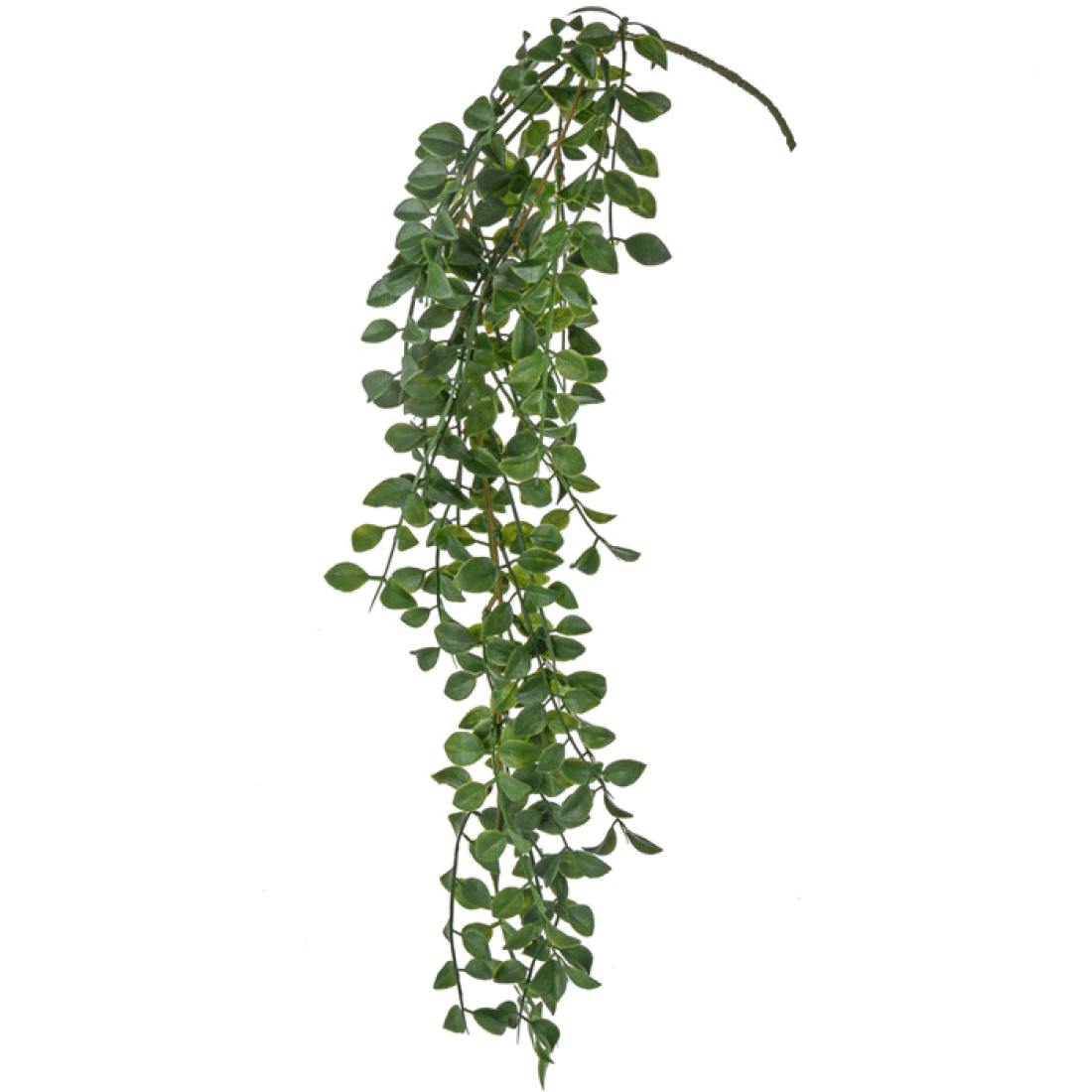 Artificial Ruscus Trailing Plants 68.5cm | Artificial Ferns