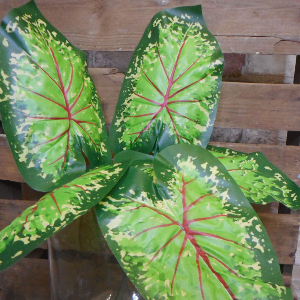Artificial Caladium Leaf Green Red 43cm | Artificial Leaves