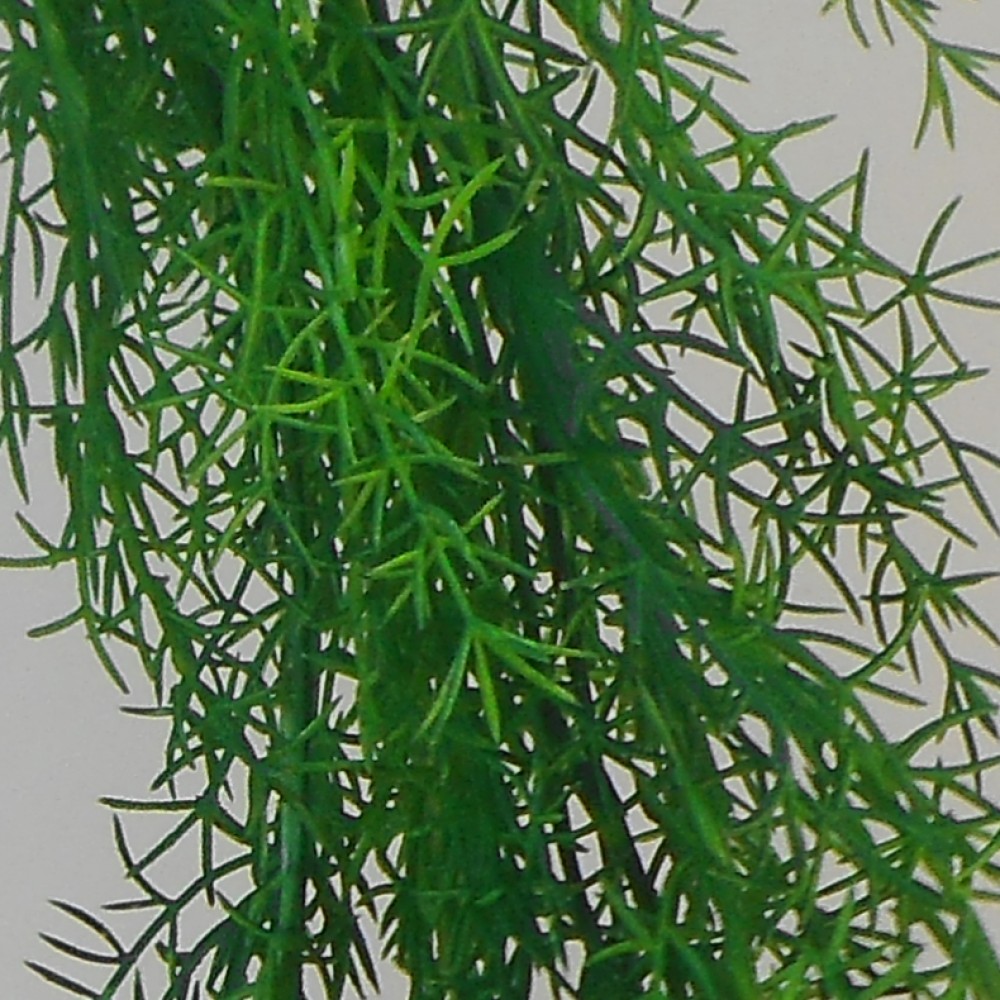 Trailing Artificial Asparagus Fern Plant | Artificial Ferns