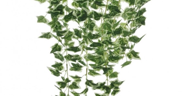 Artificial Trailing Ivy Plant Variegated | Artificial Greenery