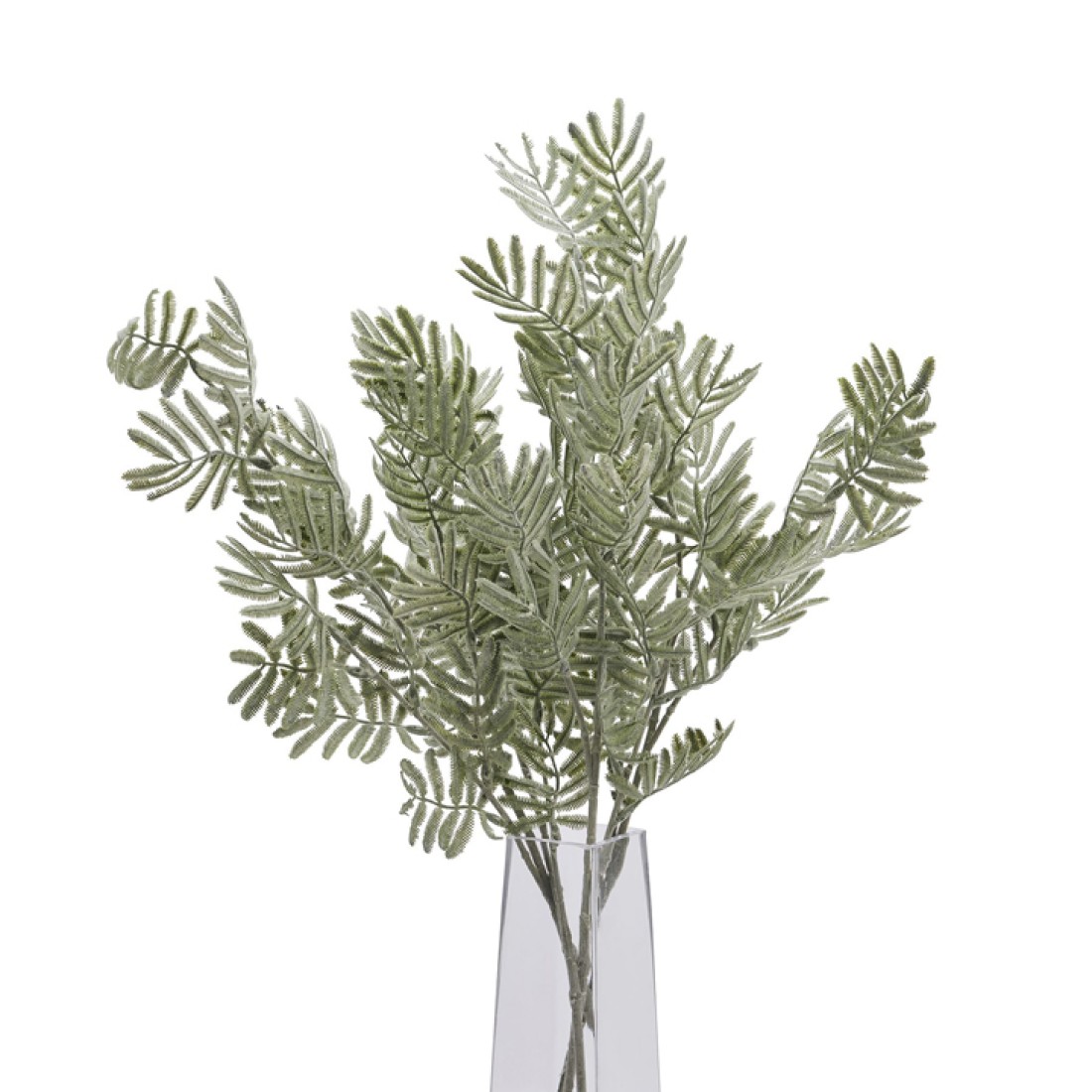 Mimosa Leaves Grey Green 73cm | Artificial Leaves