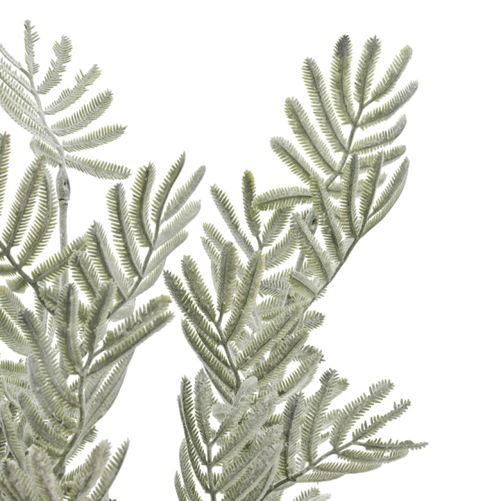 Mimosa Leaves Grey Green 73cm | Artificial Leaves