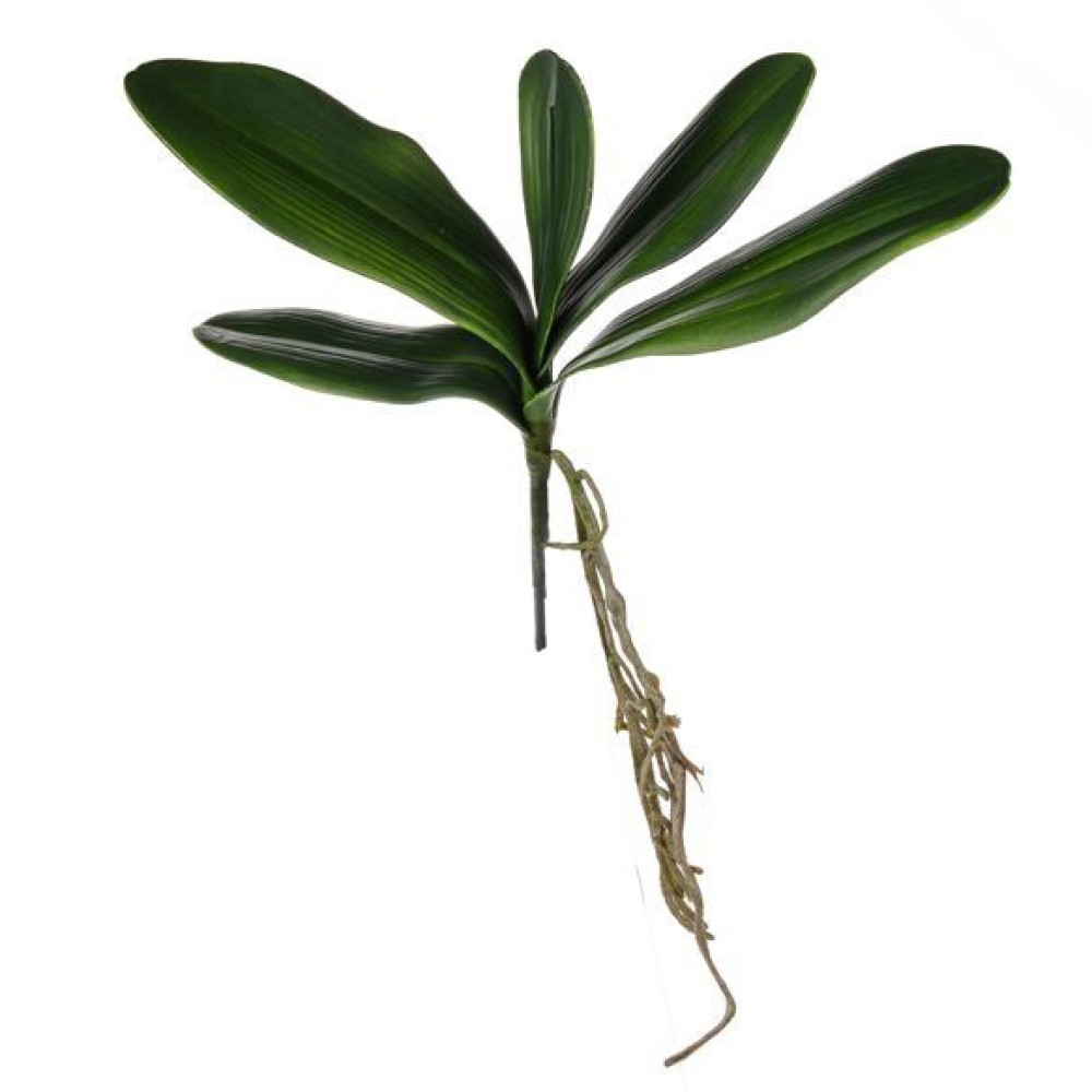 Artificial Orchid Leaves and Roots 35cm | Artificial Leaves