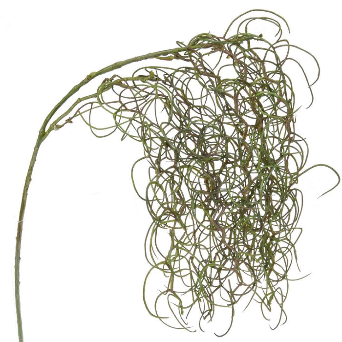 Tillandsia Trailing Plant (Spanish Moss) | Artificial Greenery