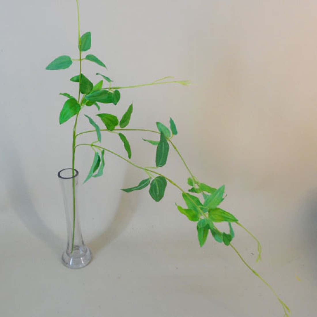 Trailing Artificial Ruscus Stem | Artificial Leaves
