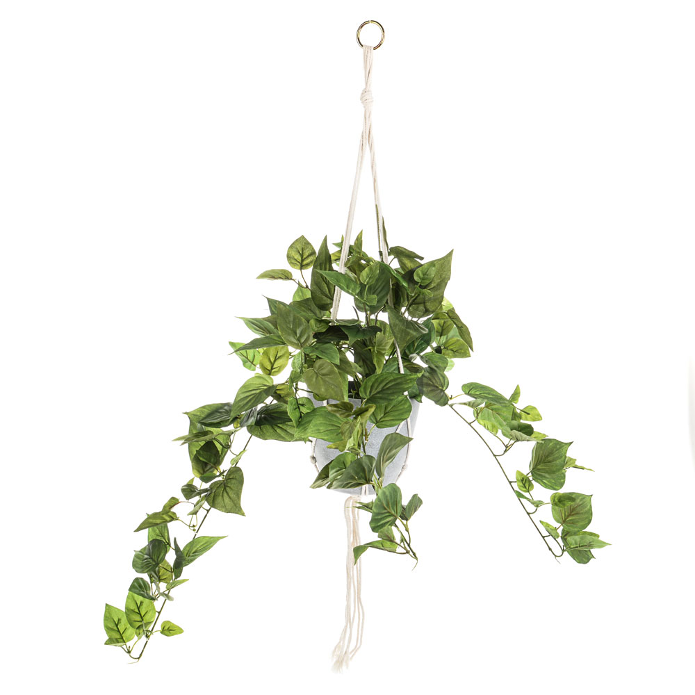 Potted Trailing Philodendron Plant in Macrame Hanger | Artificial Plants