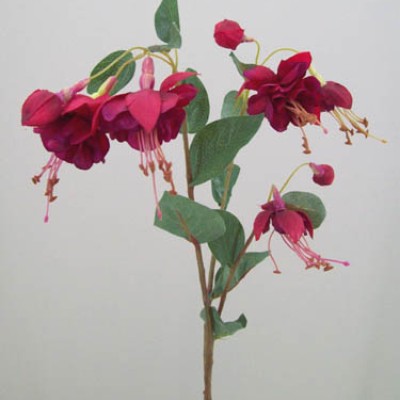 Fuchsias | Silk Flowers