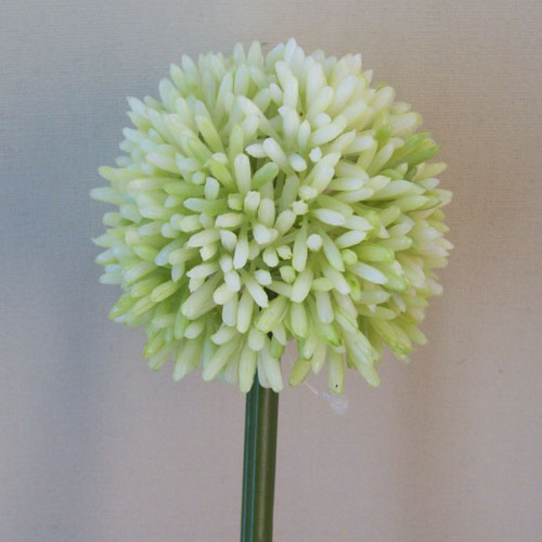 Hedgerow Allium Cream Green 54cm | Artificial Flowers