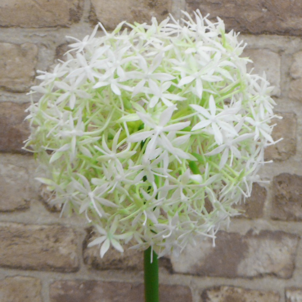 Large Artificial Allium Mount Everest 77cm | Artificial Flowers