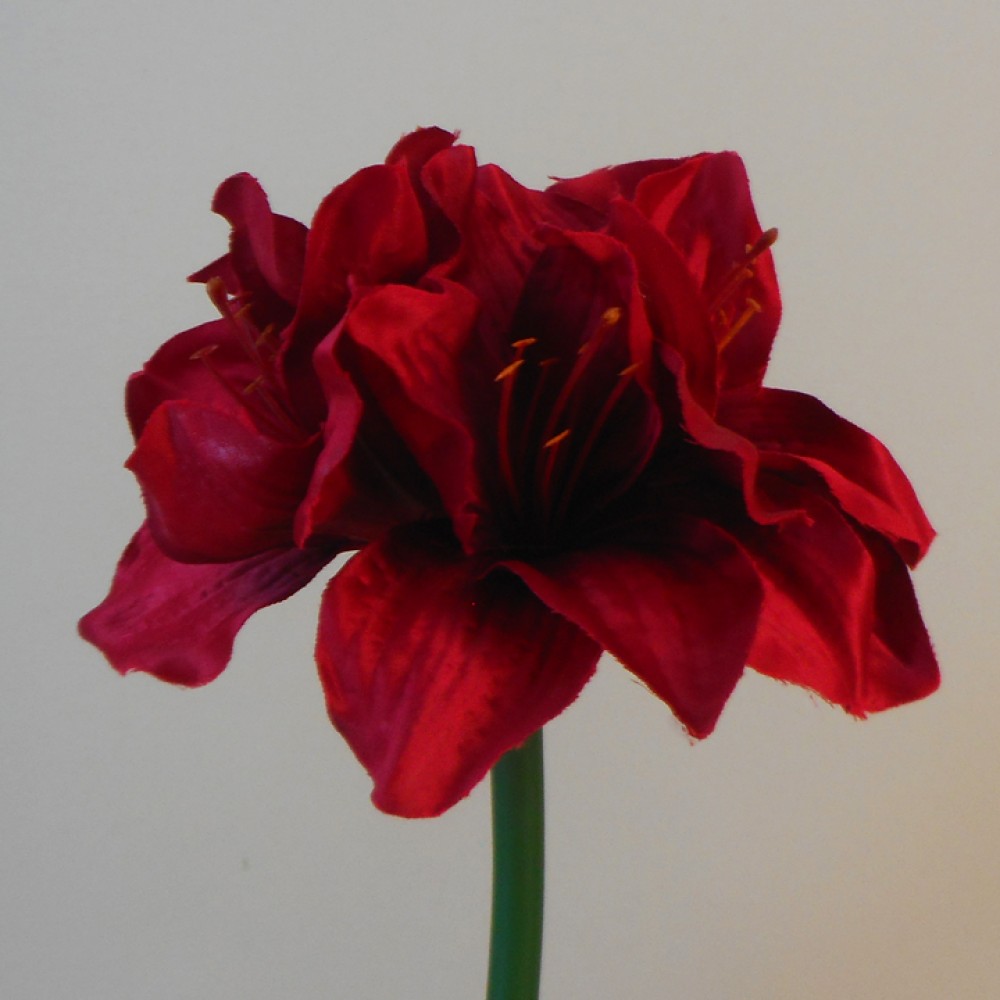 Artificial Amaryllis Red 40cm | Silk Flowers