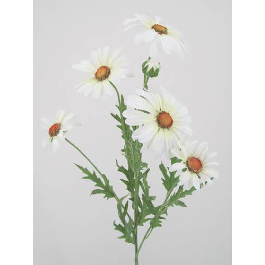 Silk Daisies | Large Artificial Field Daisy 64cm | Artificial Flowers