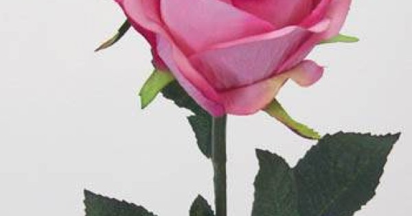 Prize Rose Mid Pink 63cm | Artificial Flowers