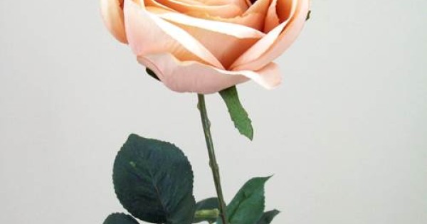 Artificial Rose High Arena Champagne Peach 60cm | Artificial Flowers