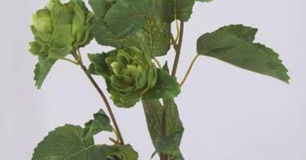 Artificial Silk Hops Branch 74cm | Artificial Flowers