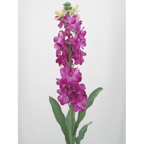 Artificial Stocks Lilac 85cm | Artificial Flowers