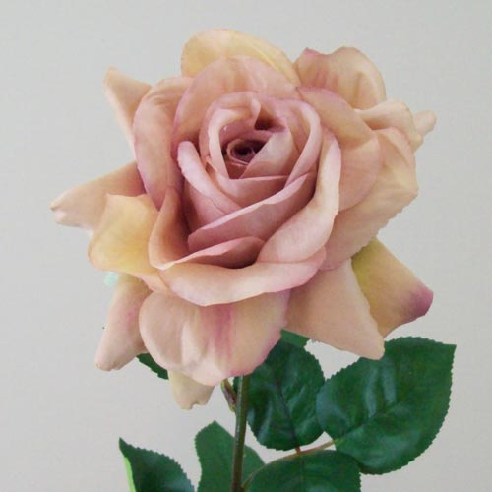 Artificial Tea Rose Vintage Apricot 70cm | Artificial Flowers