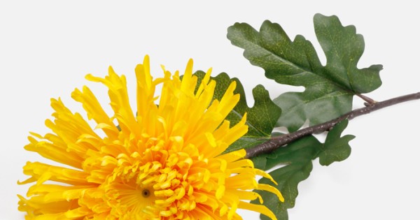 Artificial Fuji Mum Yellow 83cm | Artificial Flowers