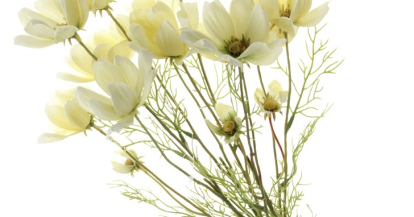 Artificial Coreopsis Bundle Cream 62cm | Silk Flowers