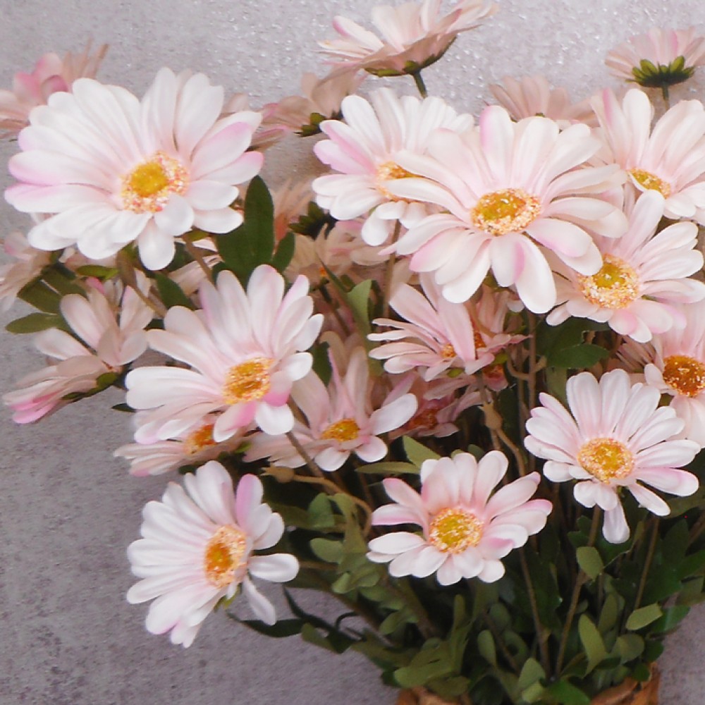Silk Daisies | Artificial Daisy Pale Pink 75cm | Artificial Flowers