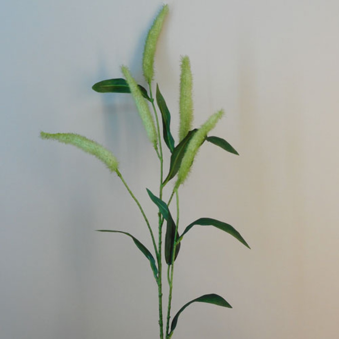 Artificial Fox Tail Flowers Green 90cm | Artificial Flowers