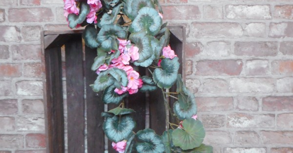 Trailing Artificial Geraniums Plants Pink 77cm | Artificial Flowers