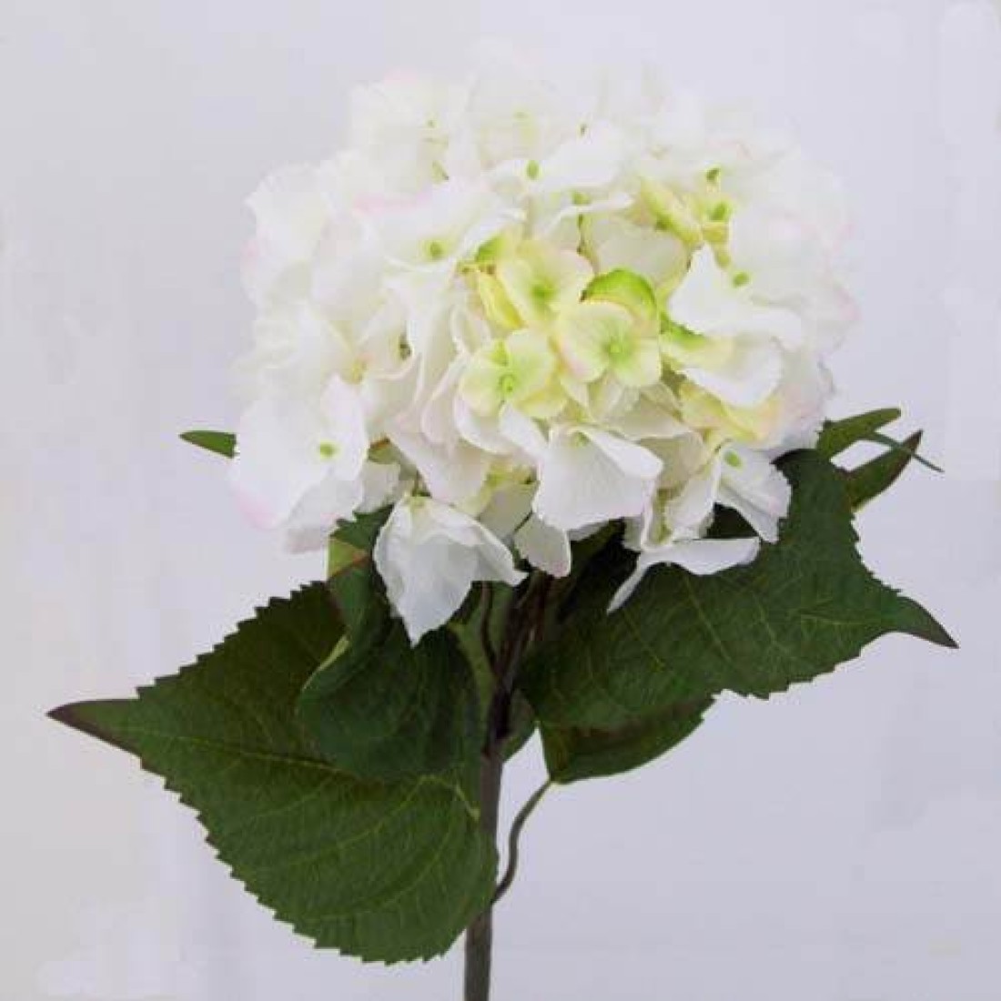 Giant Silk Hydrangeas Ivory 64cm | Artificial Flowers