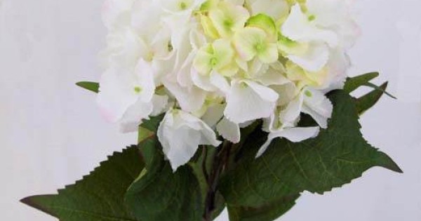 Giant Silk Hydrangeas Ivory 64cm | Artificial Flowers