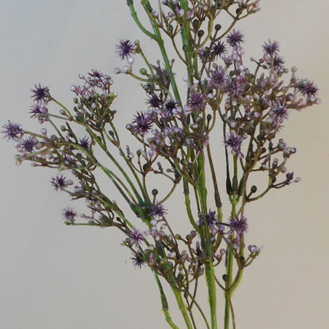 Artificial Gypsophila Aubergine Purple Baby's Breath 74cm