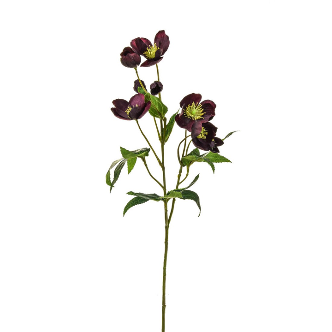 Artificial Helleborus Christmas Roses Stem Burgundy 55cm | Christmas ...
