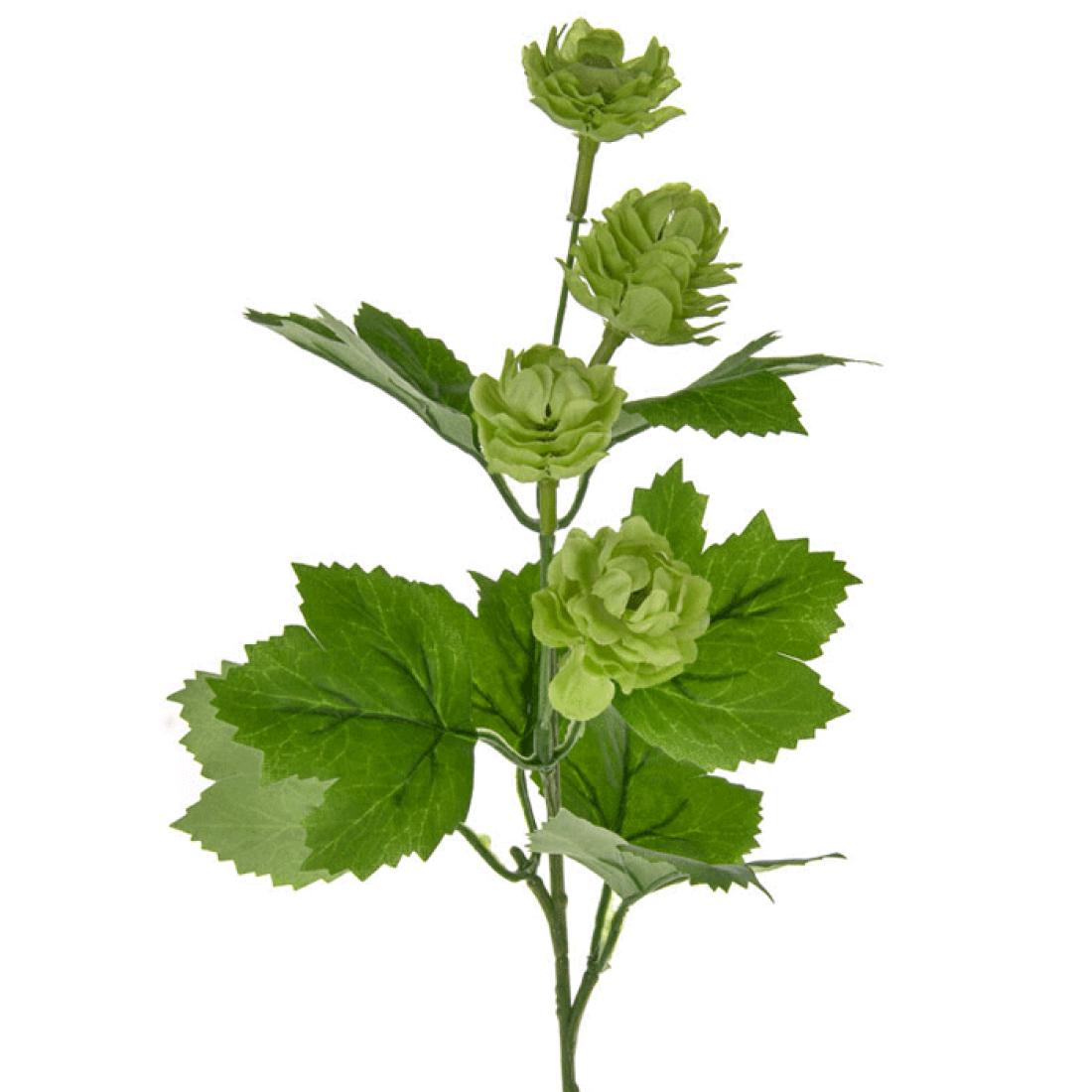 Artificial Hops Short Stem Green 33cm | Artificial Flowers