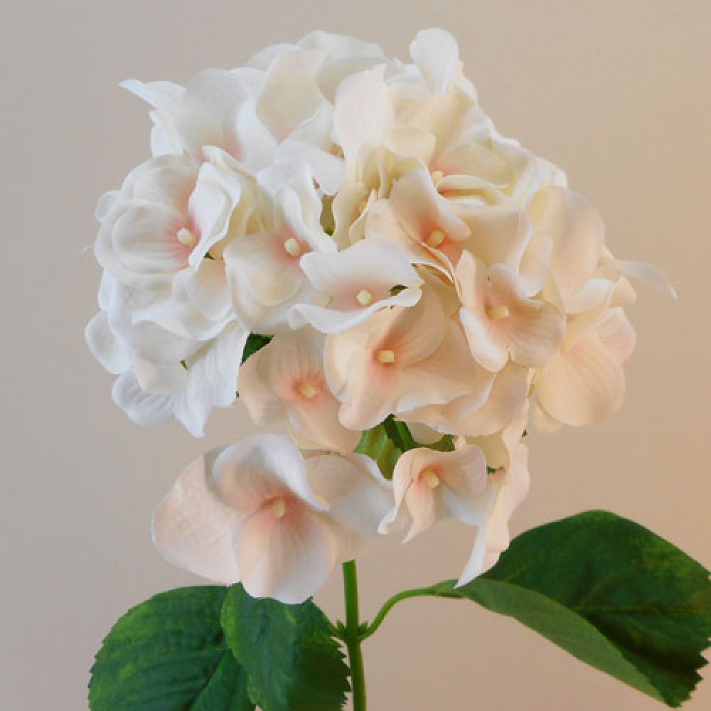 Anastasia Artificial Hydrangea Coral Pink 75cm | Artificial Flowers