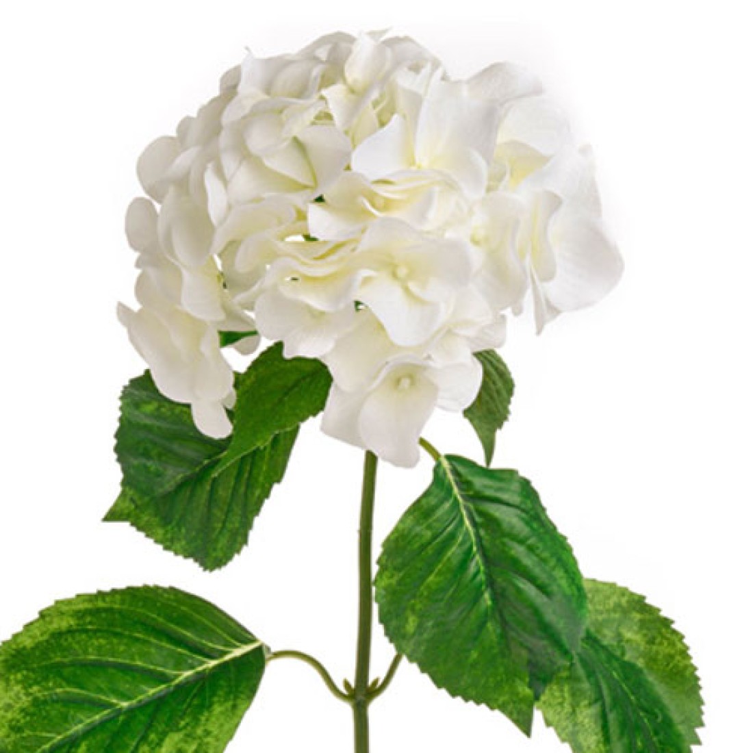 Anastasia Artificial Hydrangea Ivory 75cm | Artificial Flowers