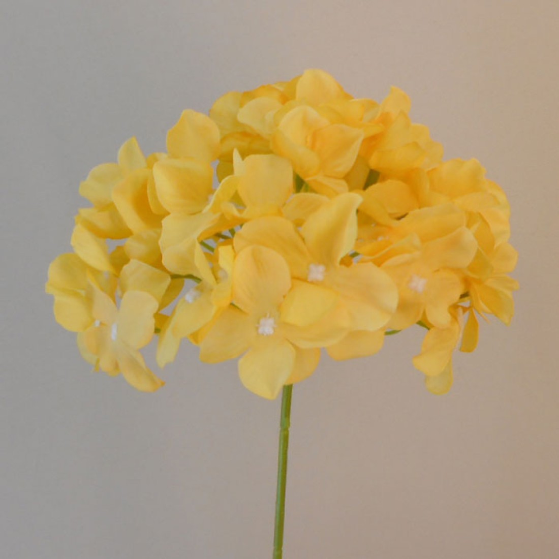Artificial Hydrangea Golden Yellow 62cm | Artificial Flowers