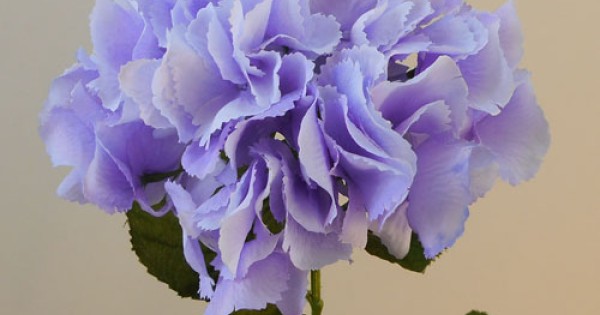 Artificial Flowers | Galaxy Hydrangea Lavender Purple 71cm