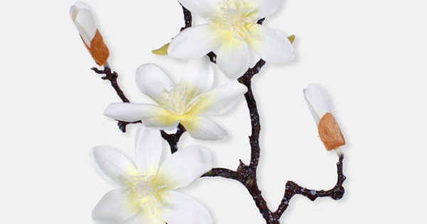 Artificial Magnolias Branch Cream 61cm | Artificial Flowers