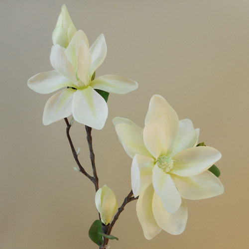 Luxury Artificial Magnolias on Branch Cream 82cm | Artificial Flowers