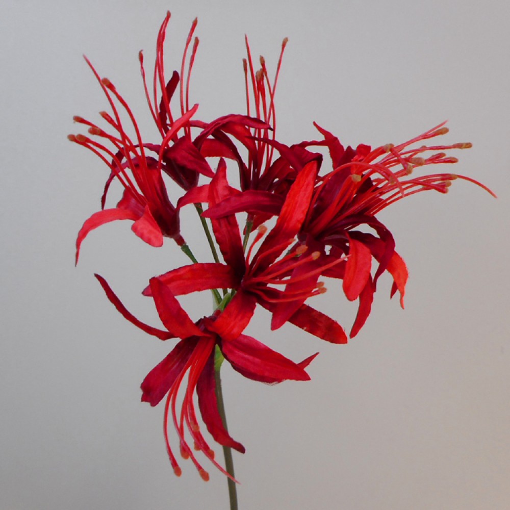 Silk Nerine Lily Red 70cm | Artificial Flowers