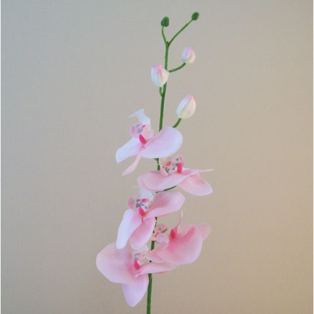 Artificial Phalaenopsis Orchids Candy Crush Pink 90cm | Artificial Flowers