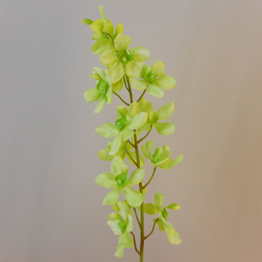 Carnival Vanda Orchid Flowers Lime Green 72cm | Artificial Flowers
