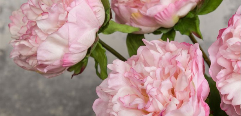 Silk Flowers Decoflora | Artificial Flowers UK