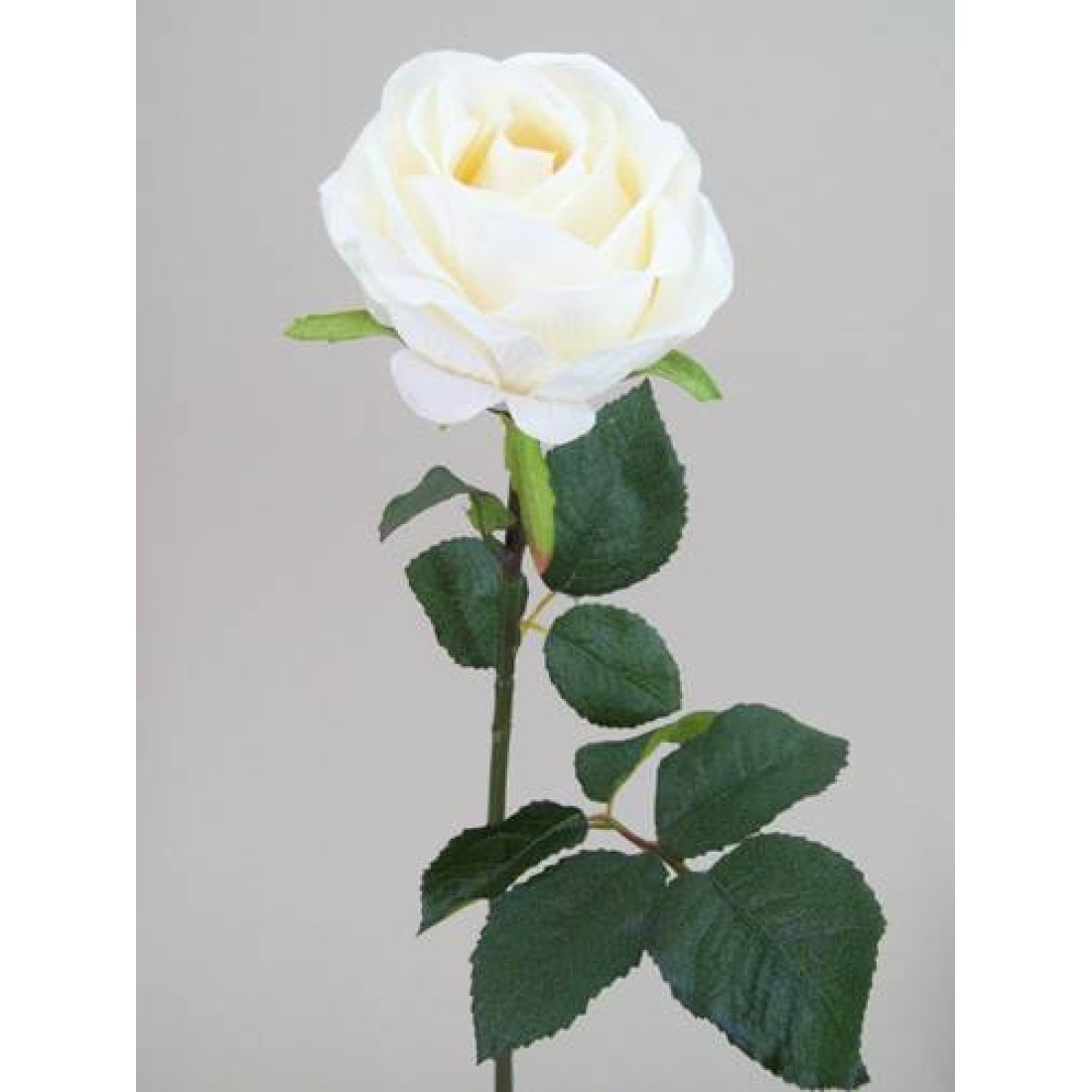 Prize Rose Cream 62cm | Artificial Flowers