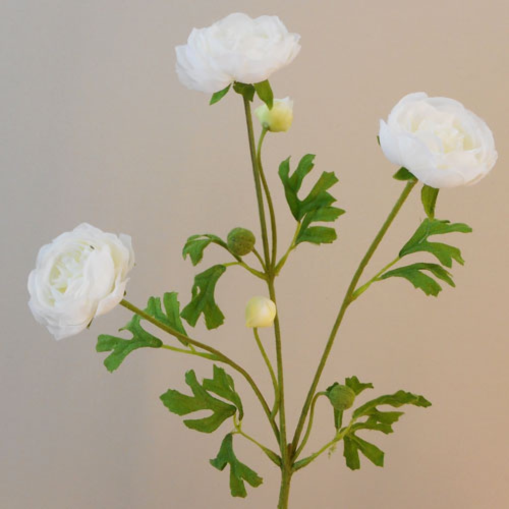 Carnival Ranunculus Cream 65cm | Artificial Flowers